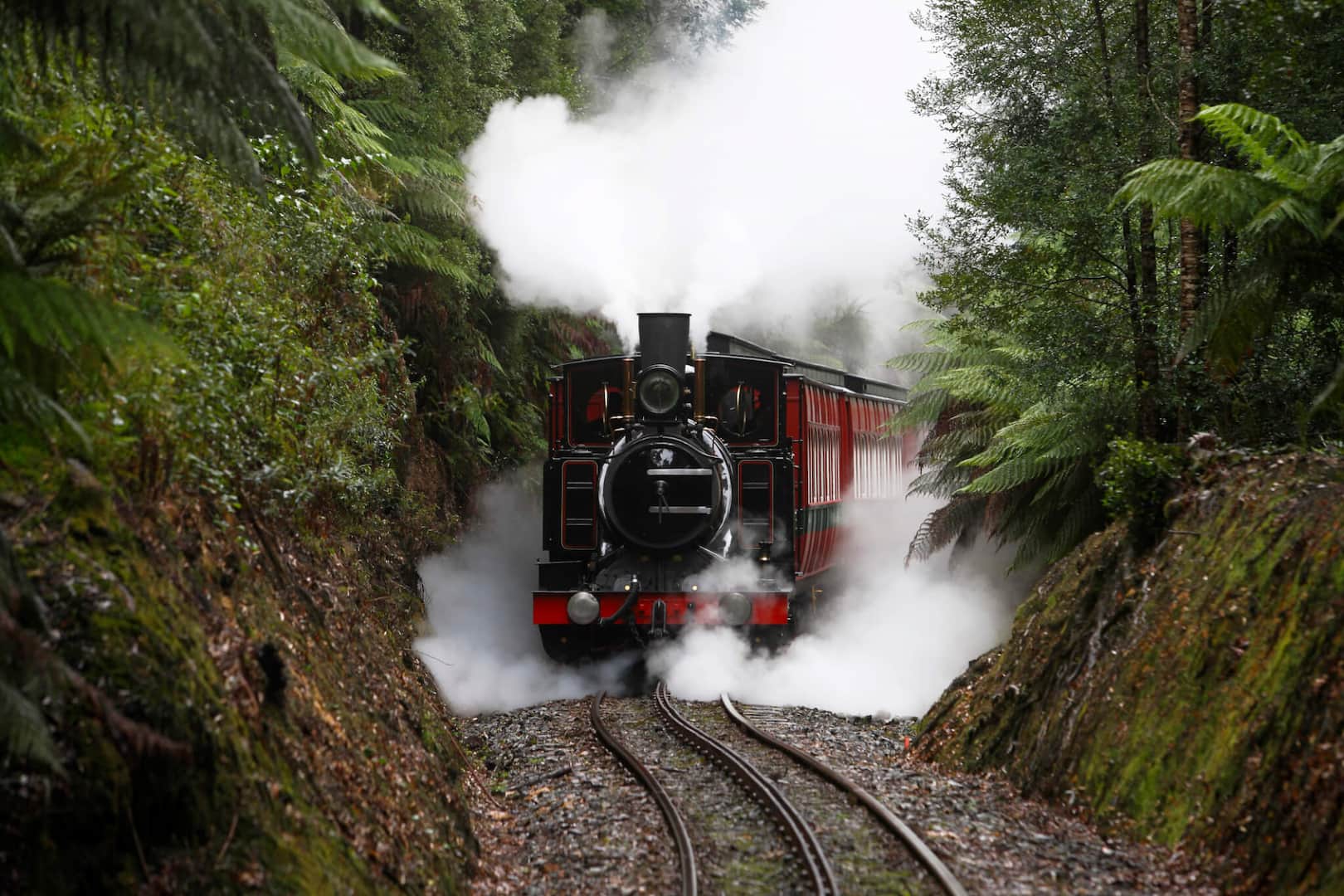 West Coast Wilderness Railway on track with new manager - Pulse Tasmania
