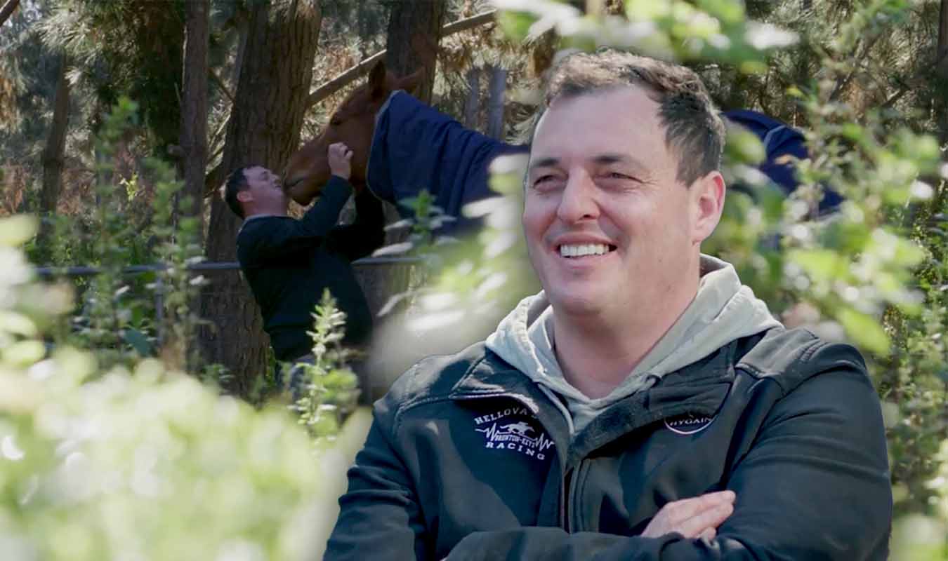 Top Tasmanian horse trainer has licence cancelled - Pulse Tasmania