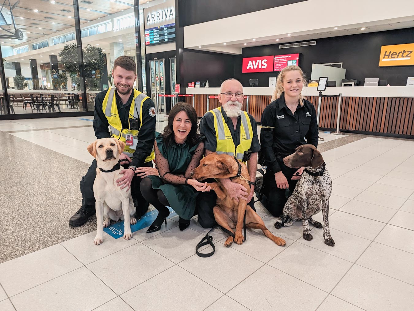Tasmania to boost border security with 14 new detector dogs - Pulse ...